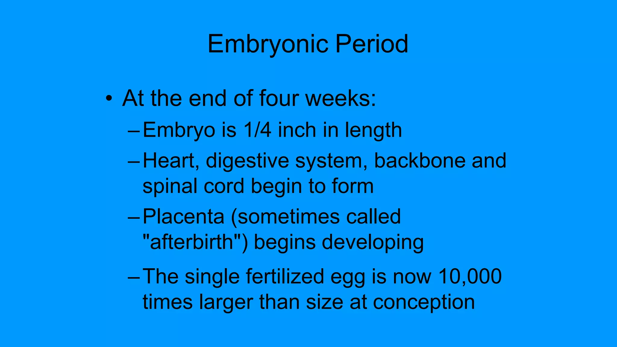 Prenatal development phases | PPTX