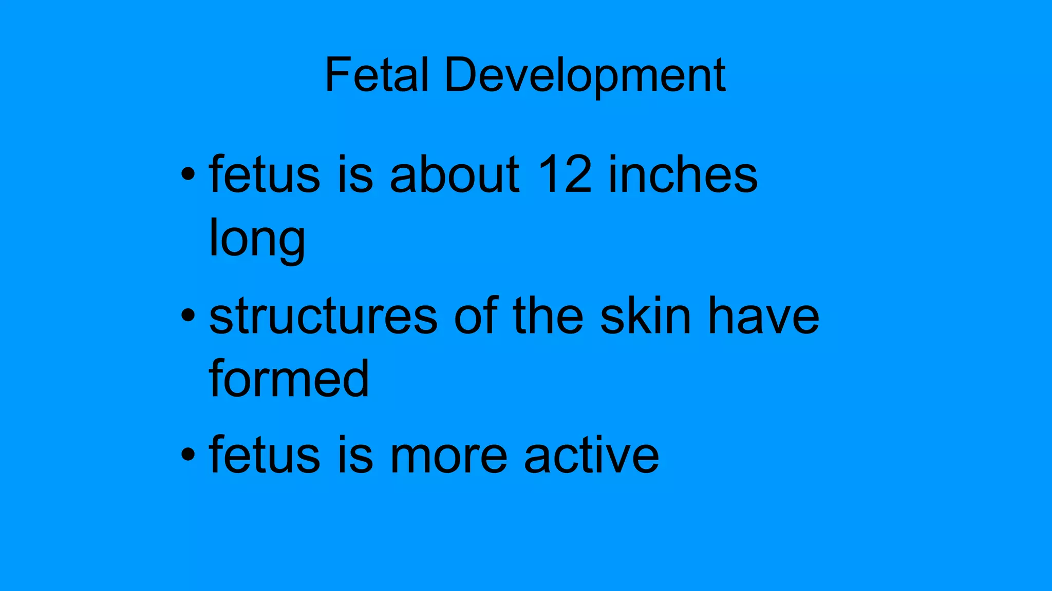 Prenatal development phases | PPTX