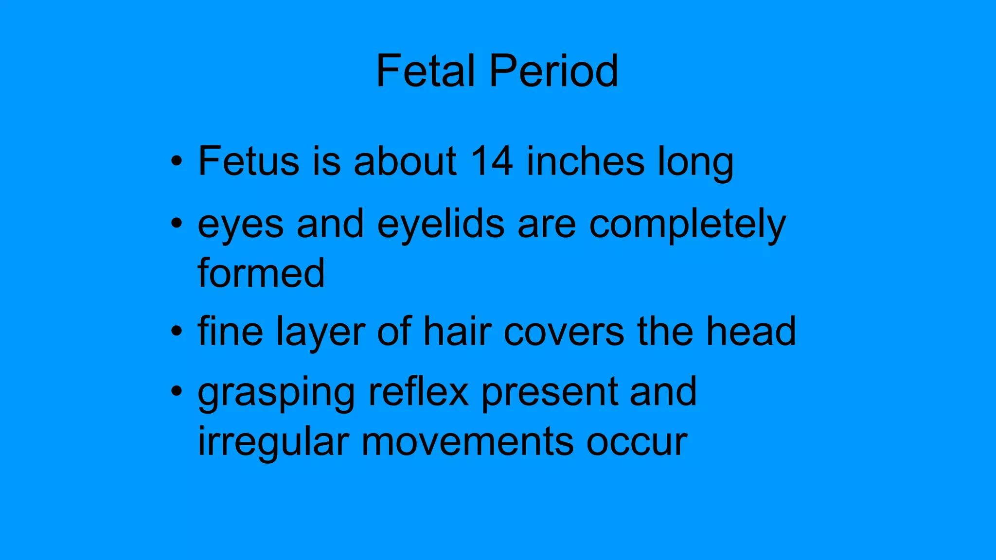 Prenatal development phases | PPTX