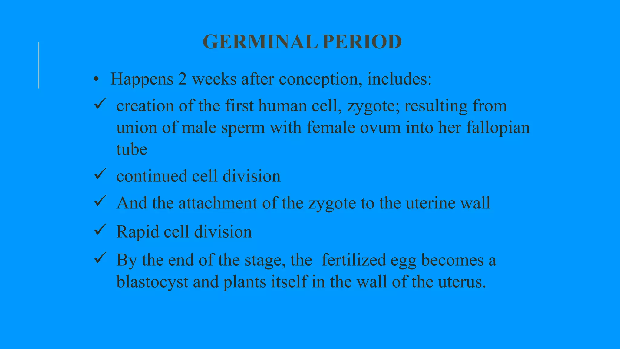 Prenatal development phases | PPTX