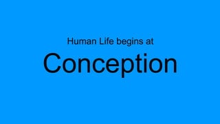 Prenatal development phases | PPTX