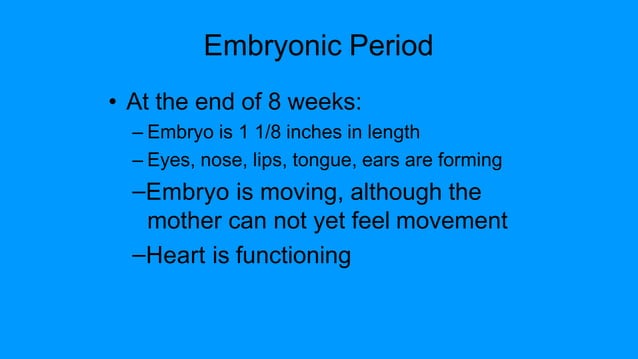 Prenatal development phases | PPT