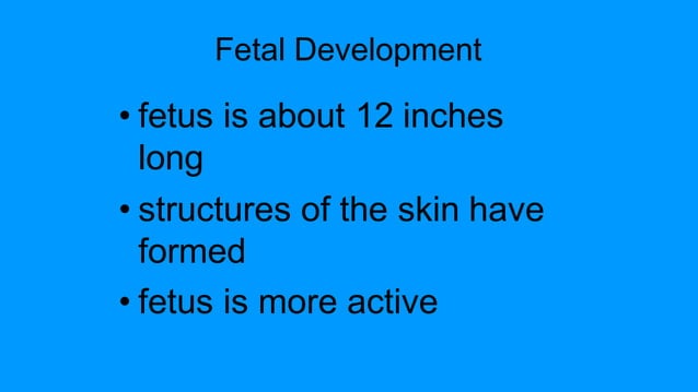 Prenatal development phases | PPT