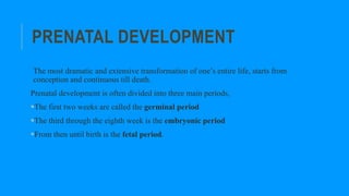 Prenatal development phases | PPTX