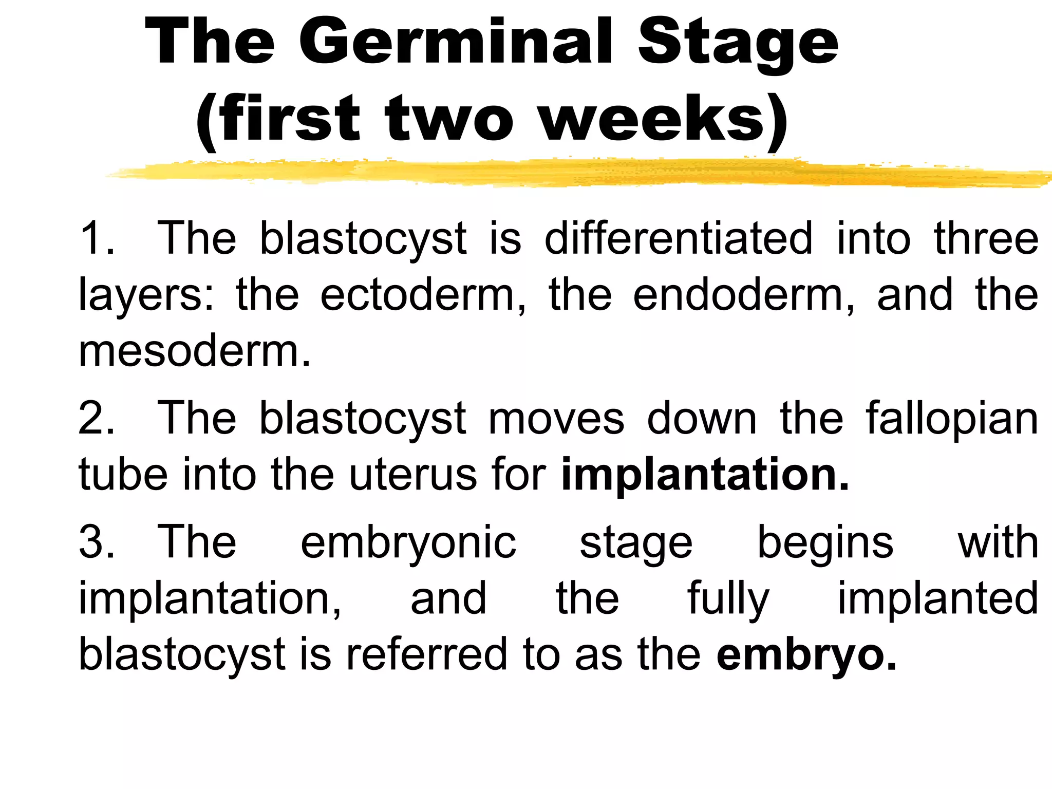 Prenatal development ppt (2) final | PPT