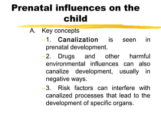 Prenatal development ppt (2) final | PPT