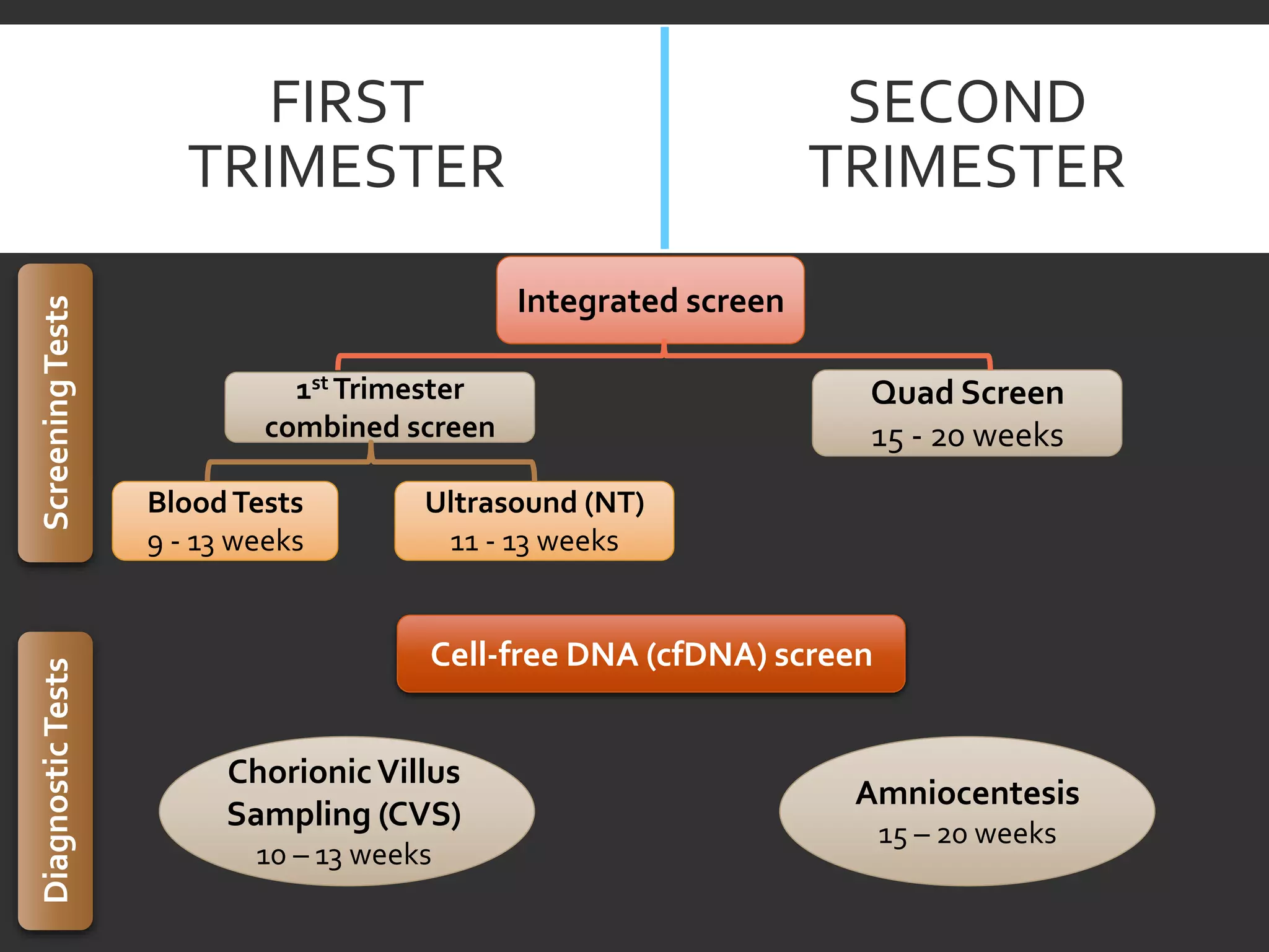 2 Trimester Screening