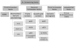 Prenatal diagnosis test | PDF