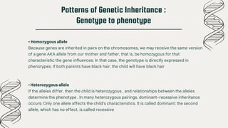Factors influencing prenatal development: Genetic factors | PDF