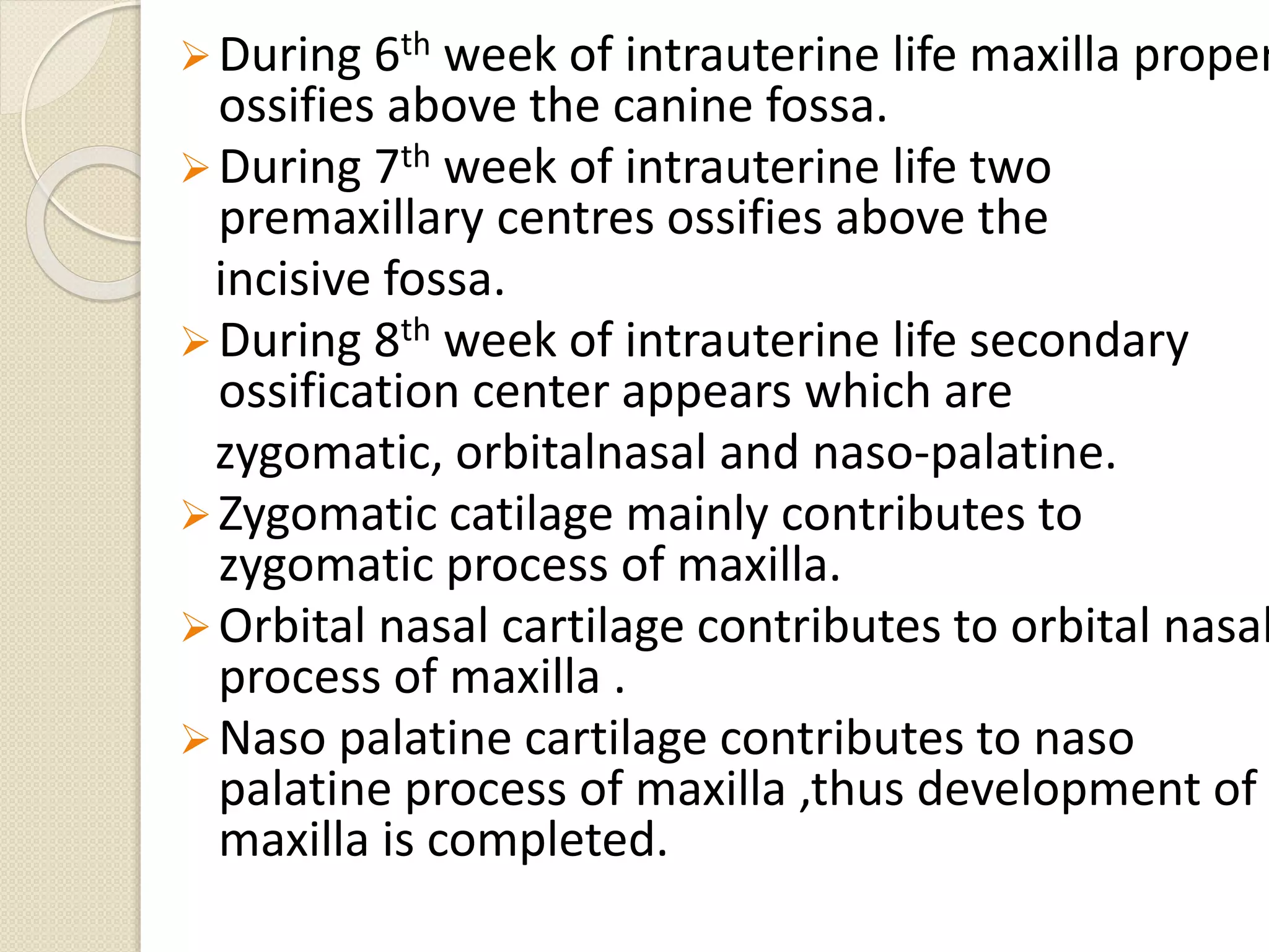 Prenatal growth of maxilla. dr. bilal | PPTX