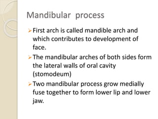 Prenatal growth of maxilla. dr. bilal | PPTX