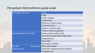 Prenatal Hidronefrosis gangguan pada sistem urogenital | PPTX