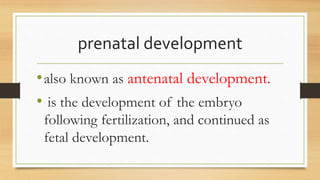 Prenatal influence on facial development | PPT