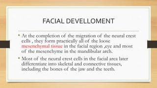 Prenatal influence on facial development | PPTX