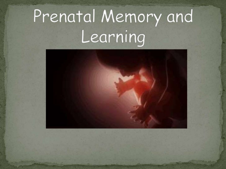 Prenatal memory and learning
