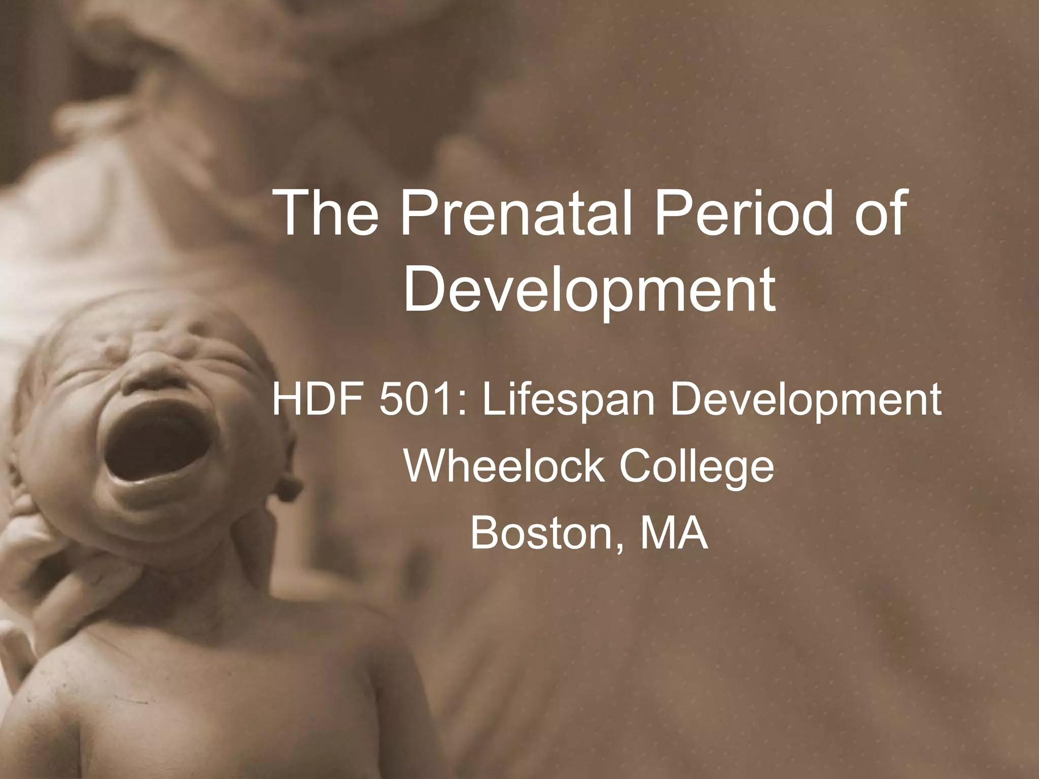 Prenatal Period Of Development | PPT