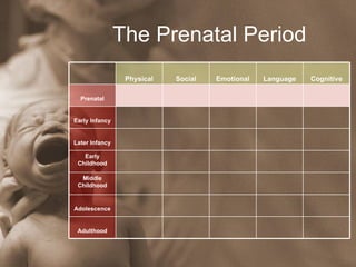 Prenatal Period Of Development | PPT