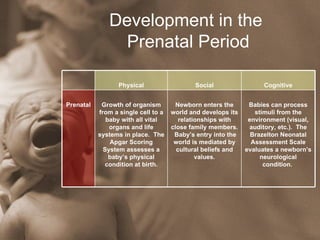 Prenatal Period Of Development | PPT