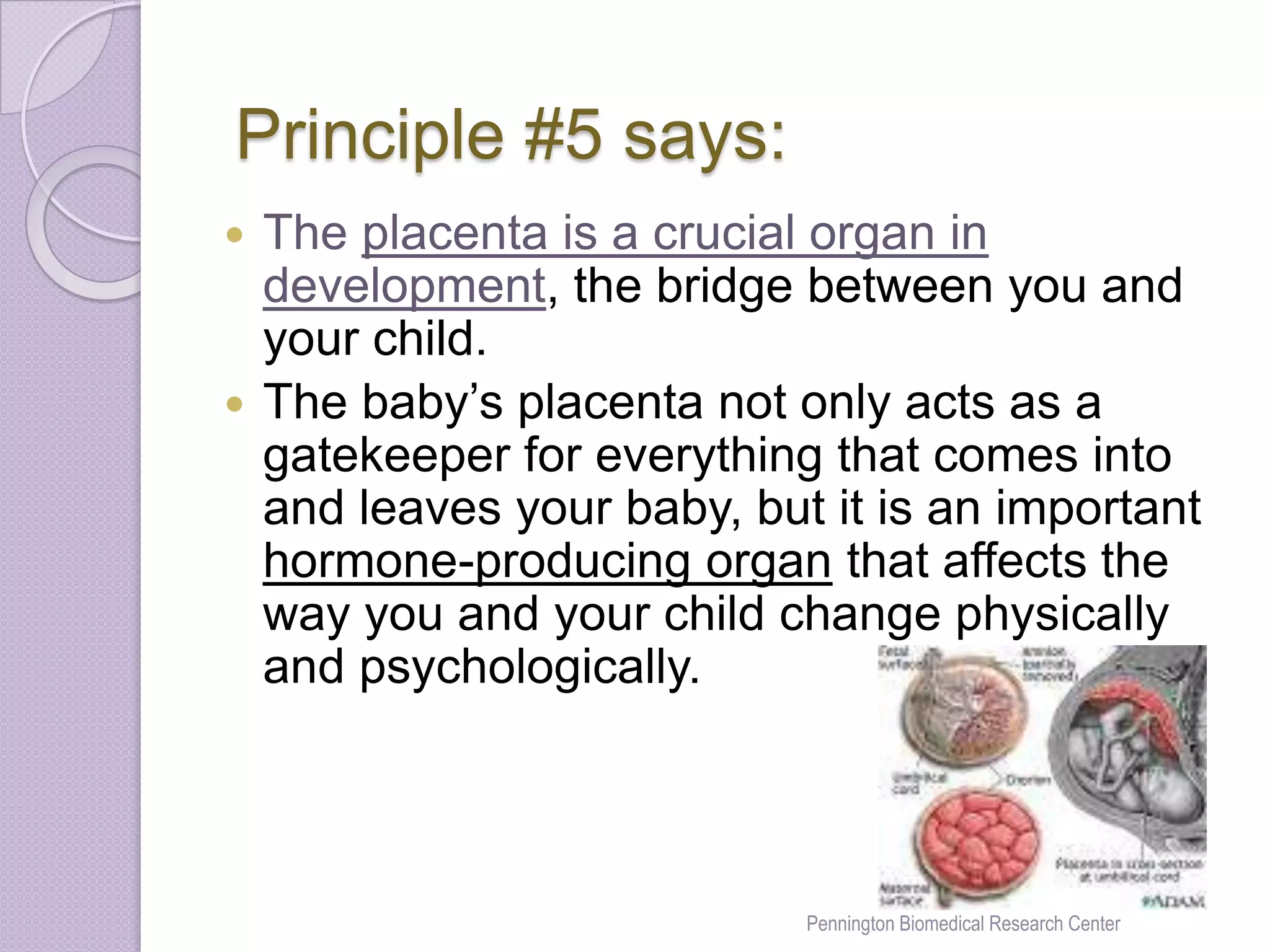 Prenatal prescription | PPT