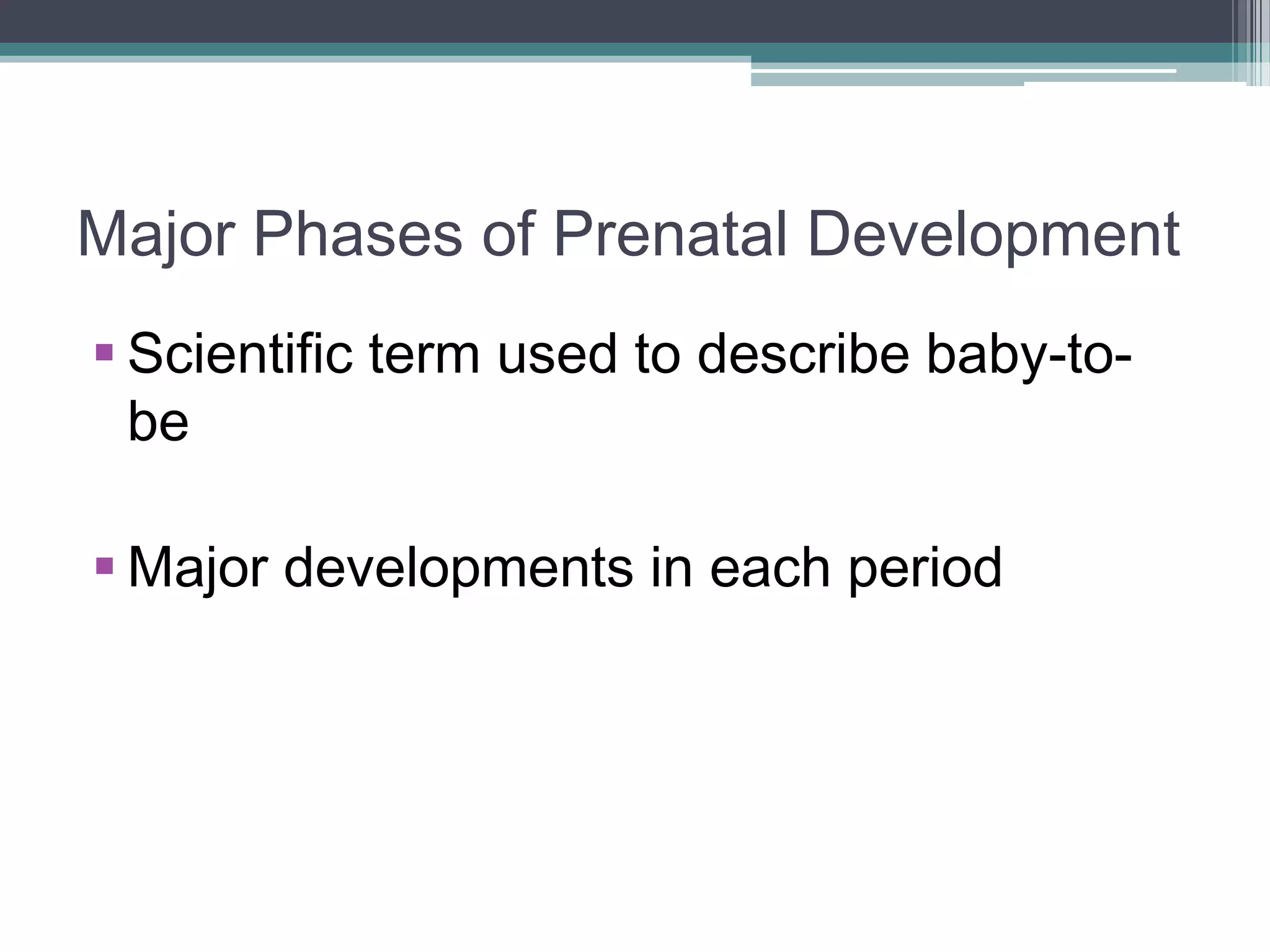 Prenatal stage of development | PPTX