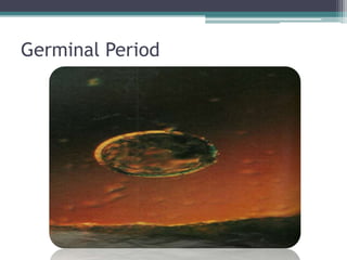 Prenatal stage of development | PPTX