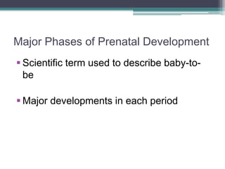 Prenatal stage of development | PPTX