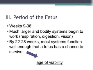 Prenatal stage of development | PPTX
