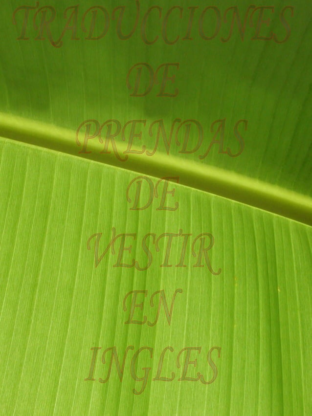 Prendas De Vestir En Ingles Tami | PPT