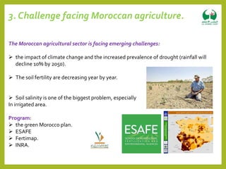 Agriculture in the north of Morocco | PPTX