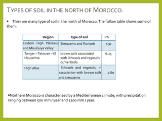 Agriculture in the north of Morocco | PPTX