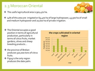 Agriculture in the north of Morocco | PPTX