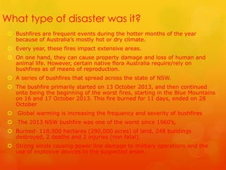 2013 Blue Mountains Bushfire NSW | PPTX