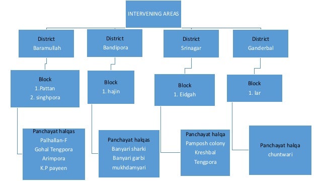 social welfare management presentation by aasim ur rehman