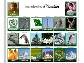 Prentation _ Pakistan-country presentation | PPTX