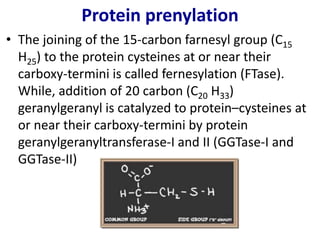 Prenylation.pptx