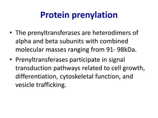 Prenylation.pptx