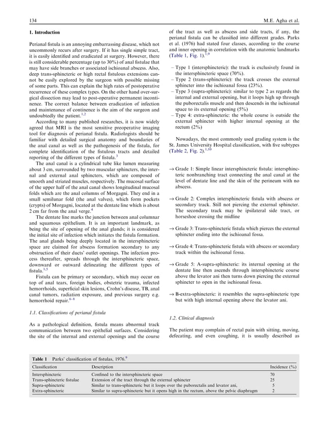 Preoperative mri of perianal fistula | PDF