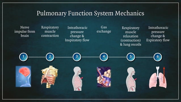Preoperative pulmonary evaluation and management | PDF