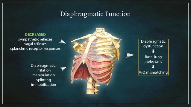 Preoperative pulmonary evaluation and management