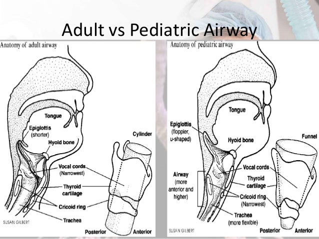 Preop eval and airway management