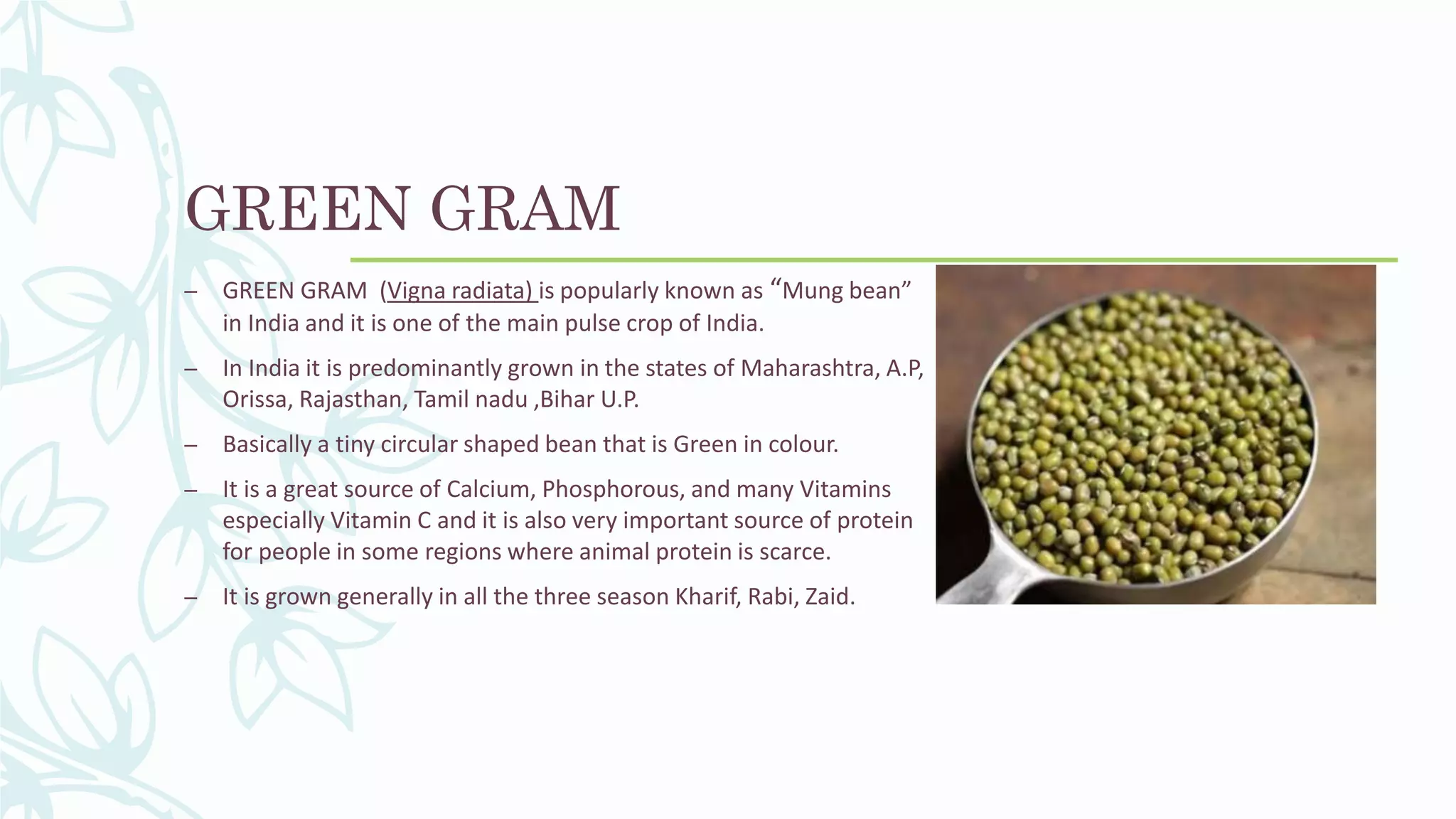 Pre or post harvesting of green gram | PPTX