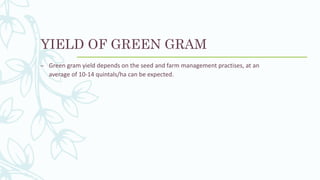 Pre or post harvesting of green gram | PPTX