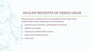 Pre or post harvesting of green gram | PPTX