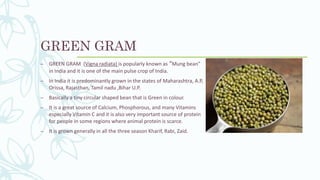 Pre or post harvesting of green gram | PPTX