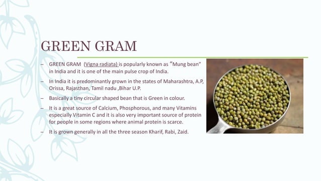 Pre or post harvesting of green gram | PPTX