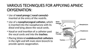 PREOXYGENATION PREOXYGENATION PREOXYGENATION | PPTX