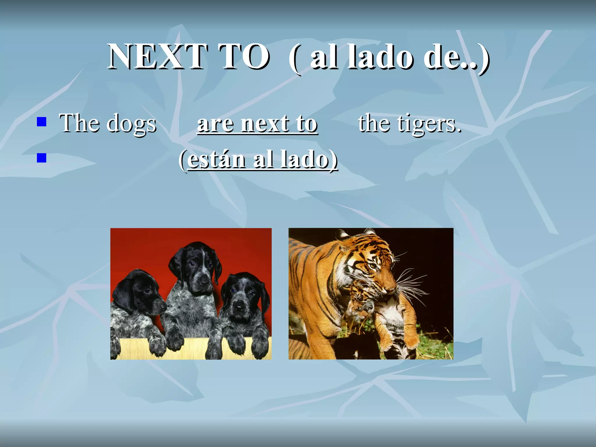 Prep 2 ( Prepositions) | PPT