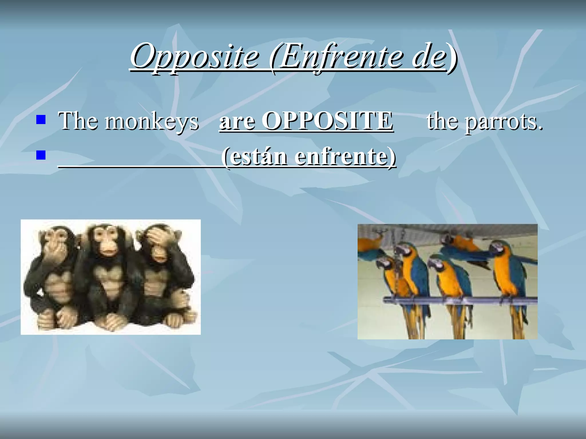 Prep 2 ( Prepositions) | PPT