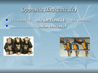 Prep 2 ( Prepositions) | PPT