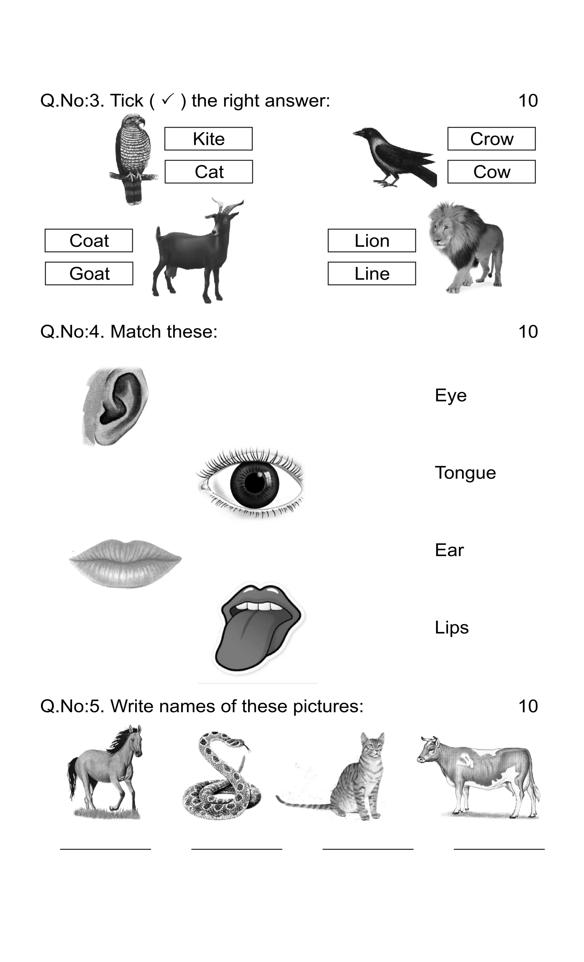 Prep all papers | PDF